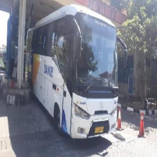 data Object Detection Dataset and Pre-Trained Model by newdata