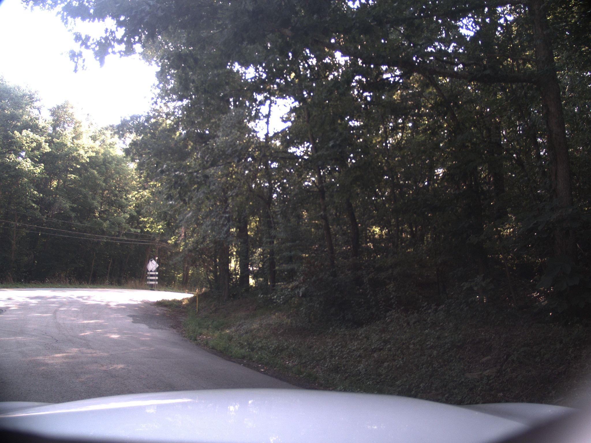 Top Yellow_reflective_pole Datasets and Models | Roboflow Universe