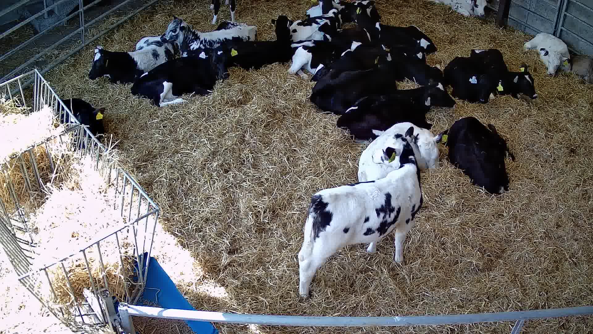 trialdc - Roboflow Universe