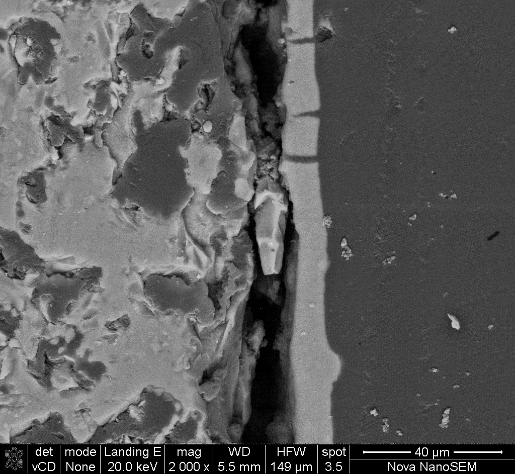 ElectronMS Instance Segmentation Dataset by Object Borders