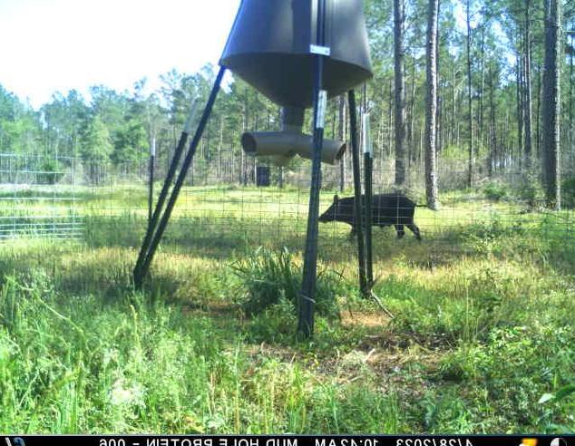 example Object Detection Dataset and Pre-Trained Model by cascadia