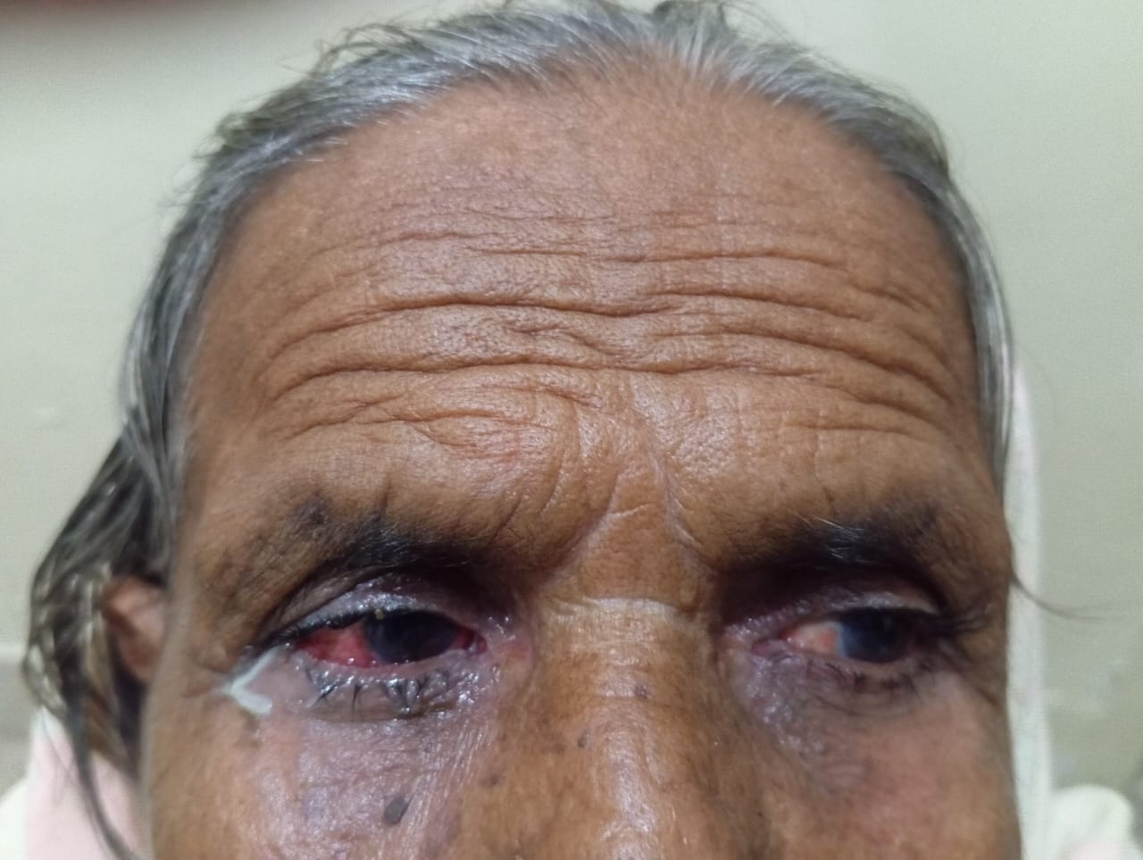 rgg Object Detection Dataset and Pre-Trained Model by Abdullah