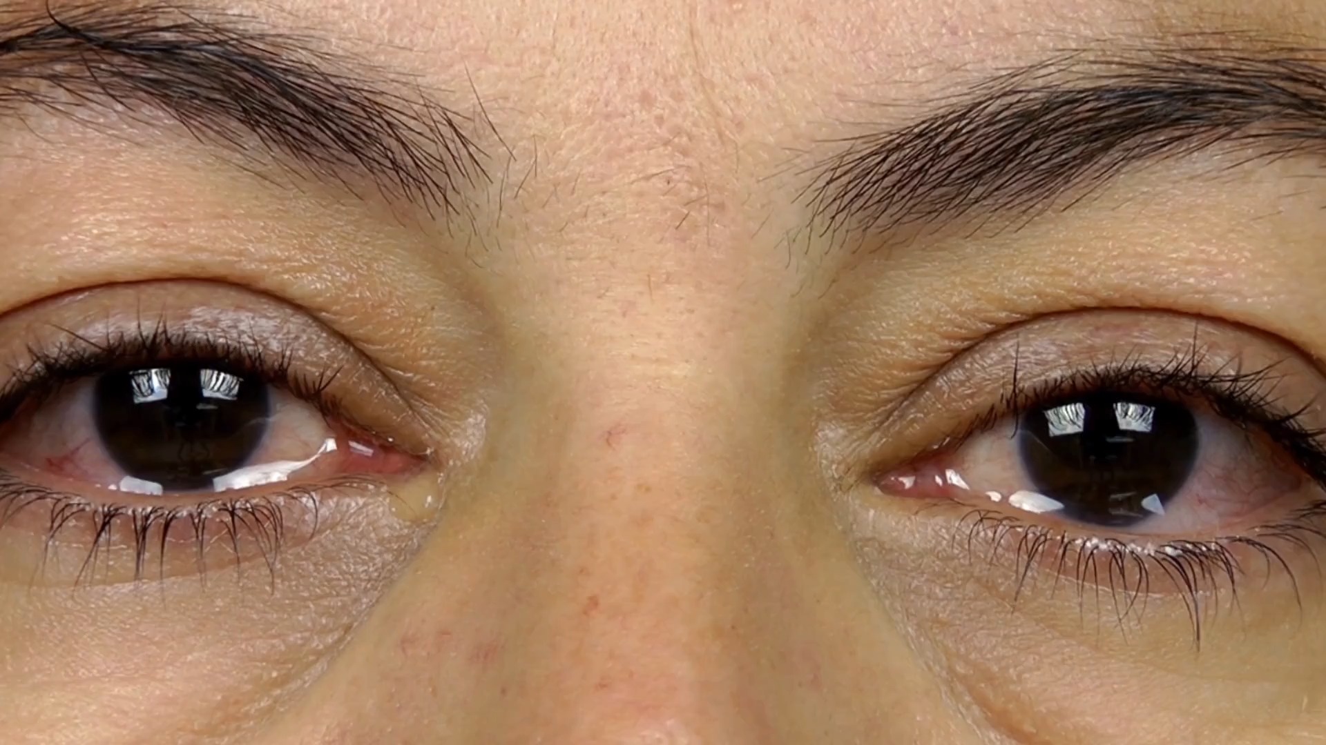 BPE Object Detection Model by Abdullah