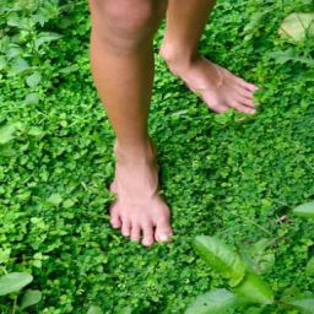 Human Feet Detection Object Detection Dataset by Ashhar Ali