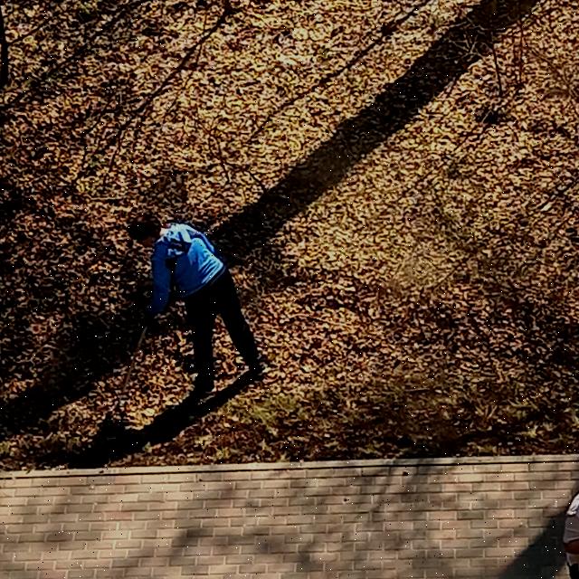 Gender Object Detection Model by Sid