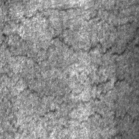 just habit - Roboflow Universe