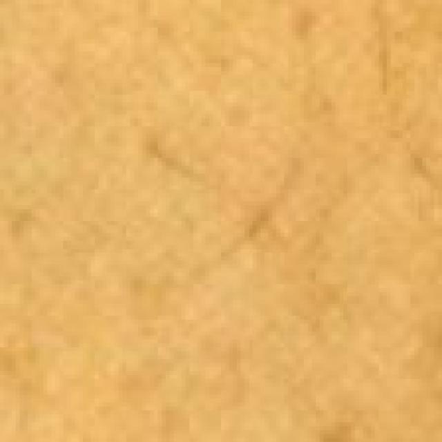 skin_tr_final Classification Dataset and Pre-Trained Model by shaun