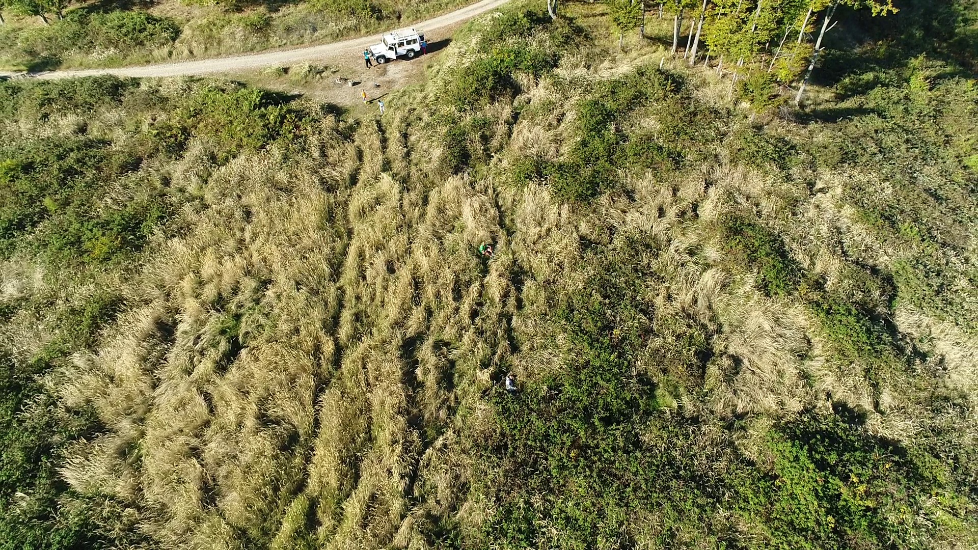 ppl Object Detection Dataset by Chen