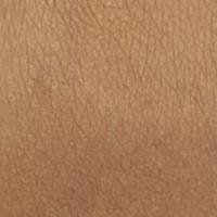 Tutorial (tutorial-zox1p) - Roboflow Universe