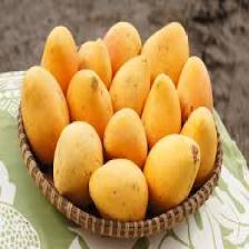 Mango Classification Dataset by Fruit Detection