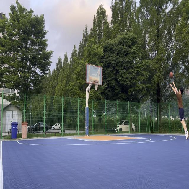 basket Object Detection Dataset by Break