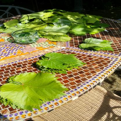 class:746-0 | Roboflow Universe Search