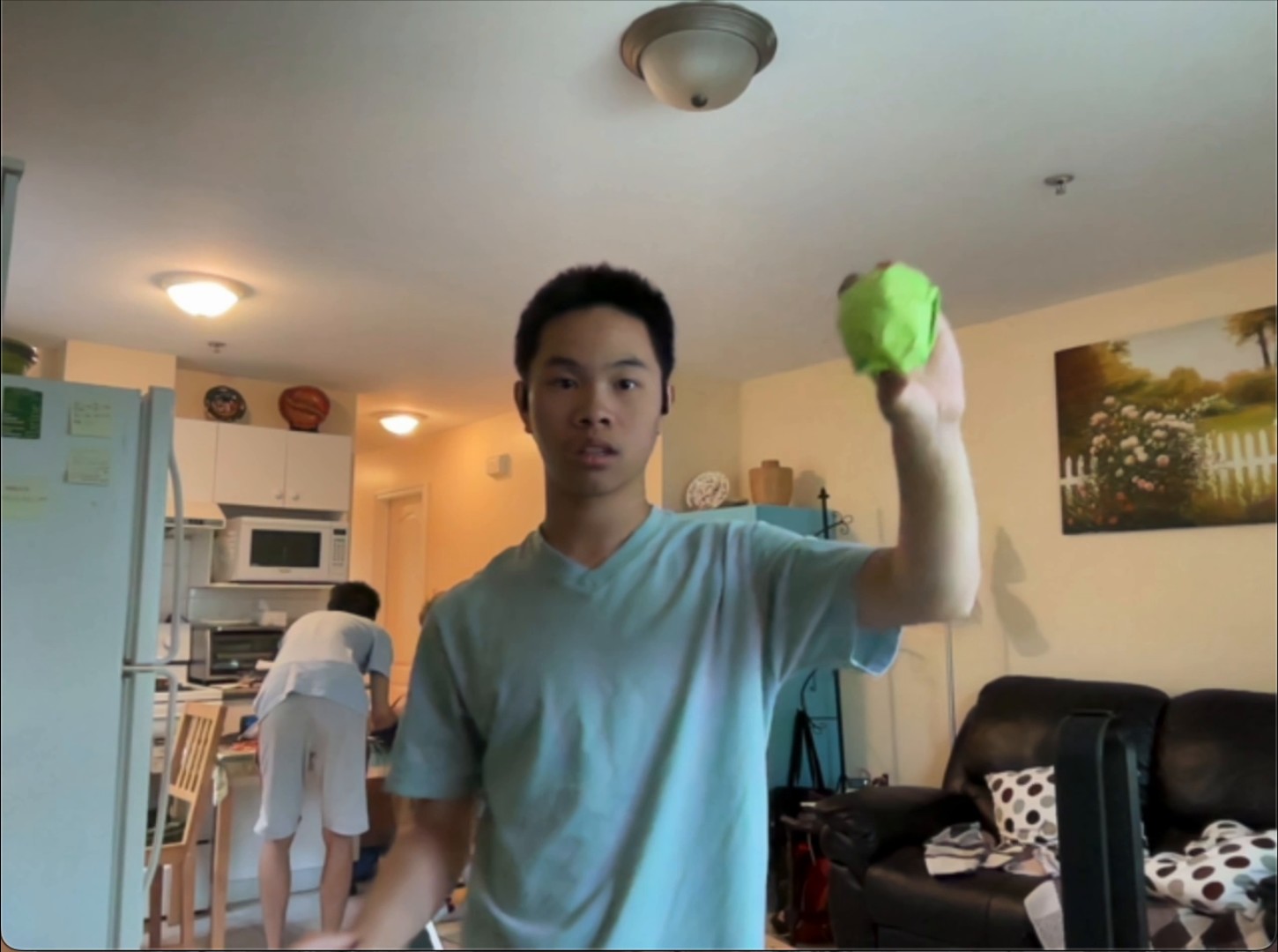 Trash Object Detection Model by flatypus