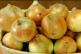 ONION Object Detection Dataset by yeoworm