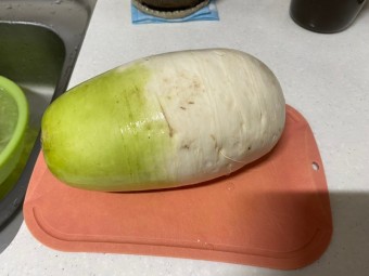 radish Object Detection Dataset by yeoworm