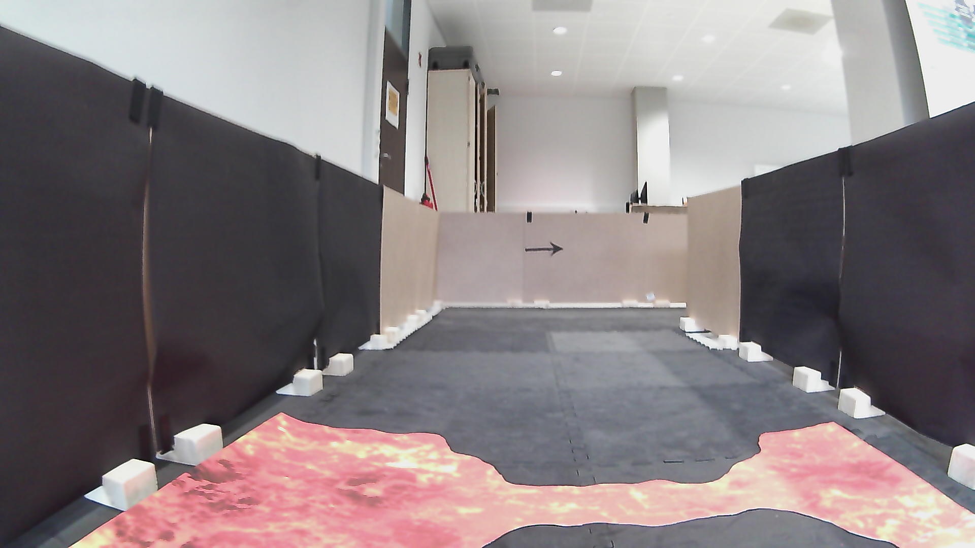 robor_dog_yolo Object Detection Dataset and Pre-Trained Model by robordog