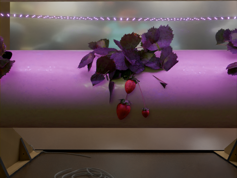 morango-teste1 Object Detection Dataset by ElaineSilva