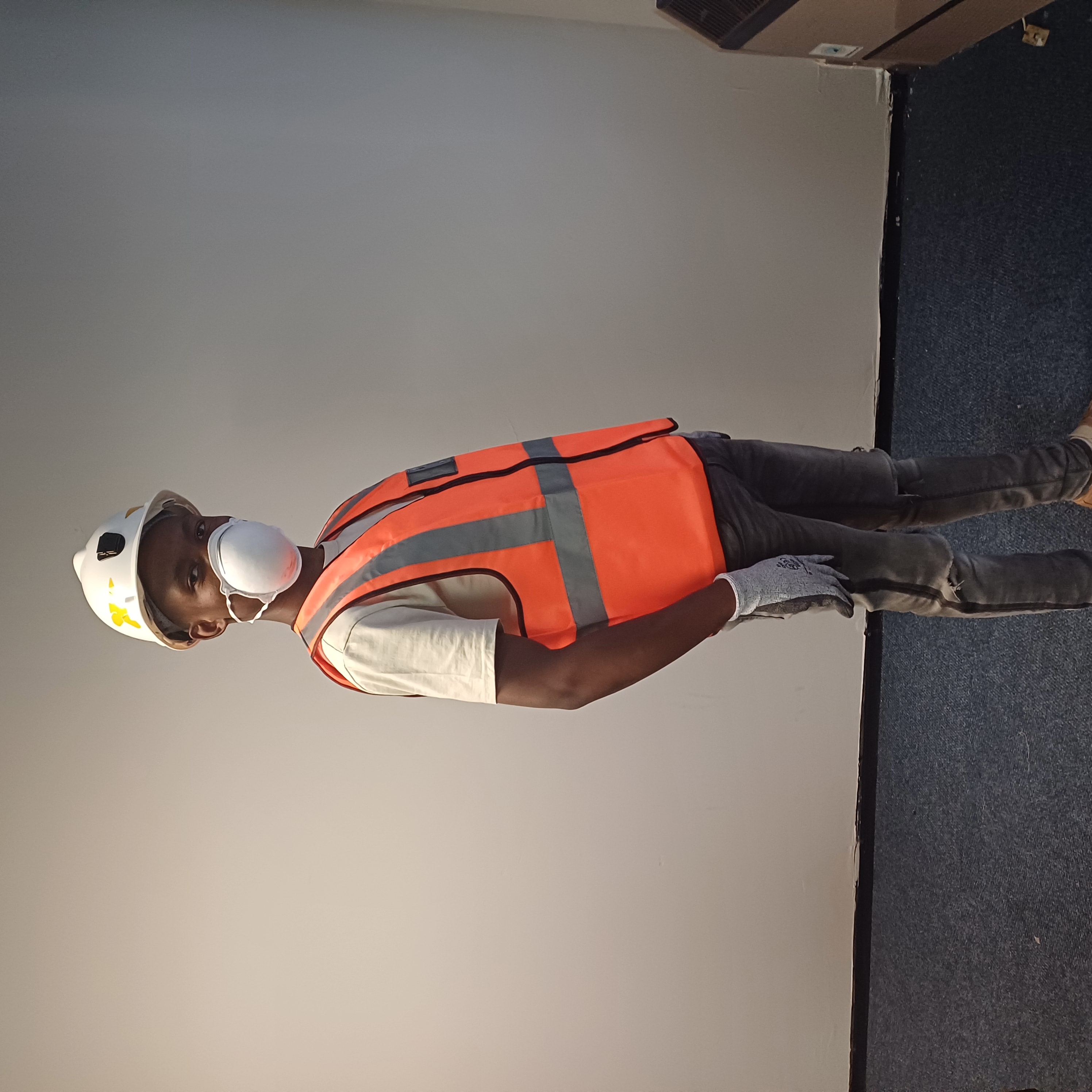 Phepha dataset Object Detection Model by dataset