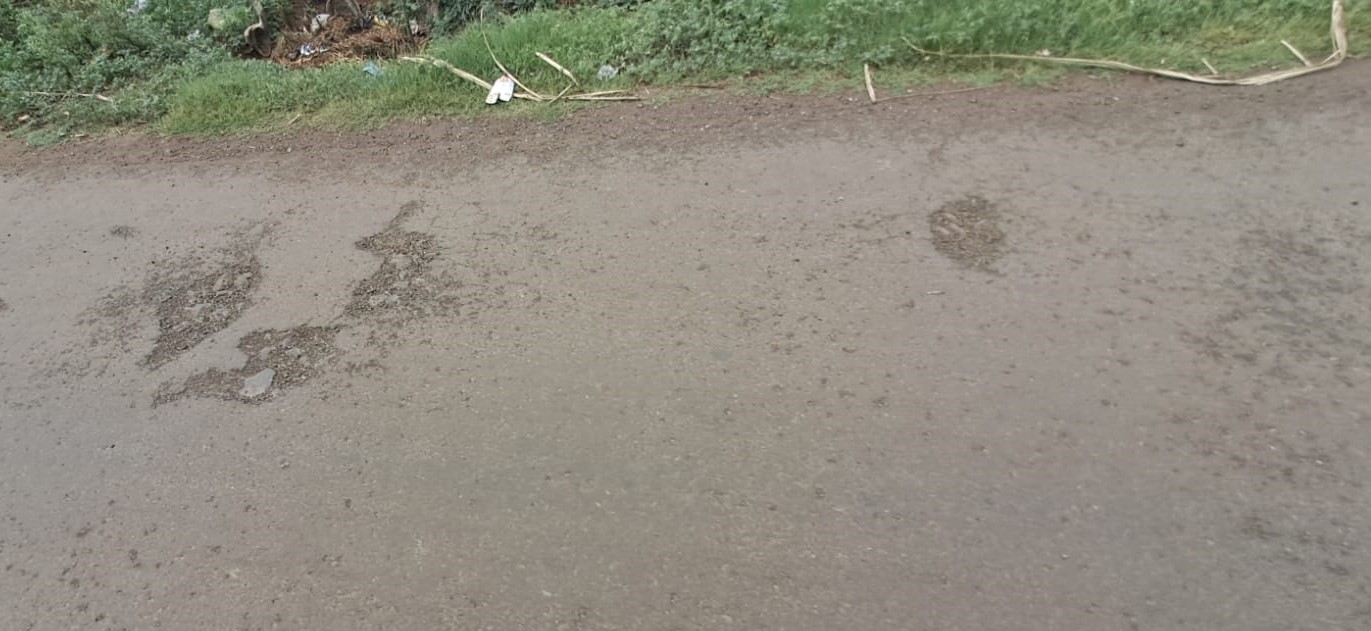 Potholes Detection Object Detection Dataset By Clg 8258