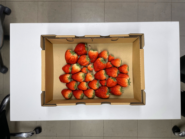 Strawberry Detector Object Detection Dataset And Pre Trained Model By Strawberry