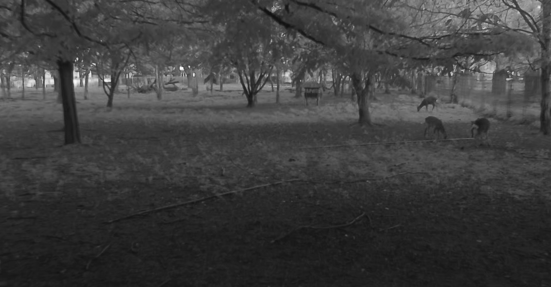 animals traps Object Detection Model by Hack