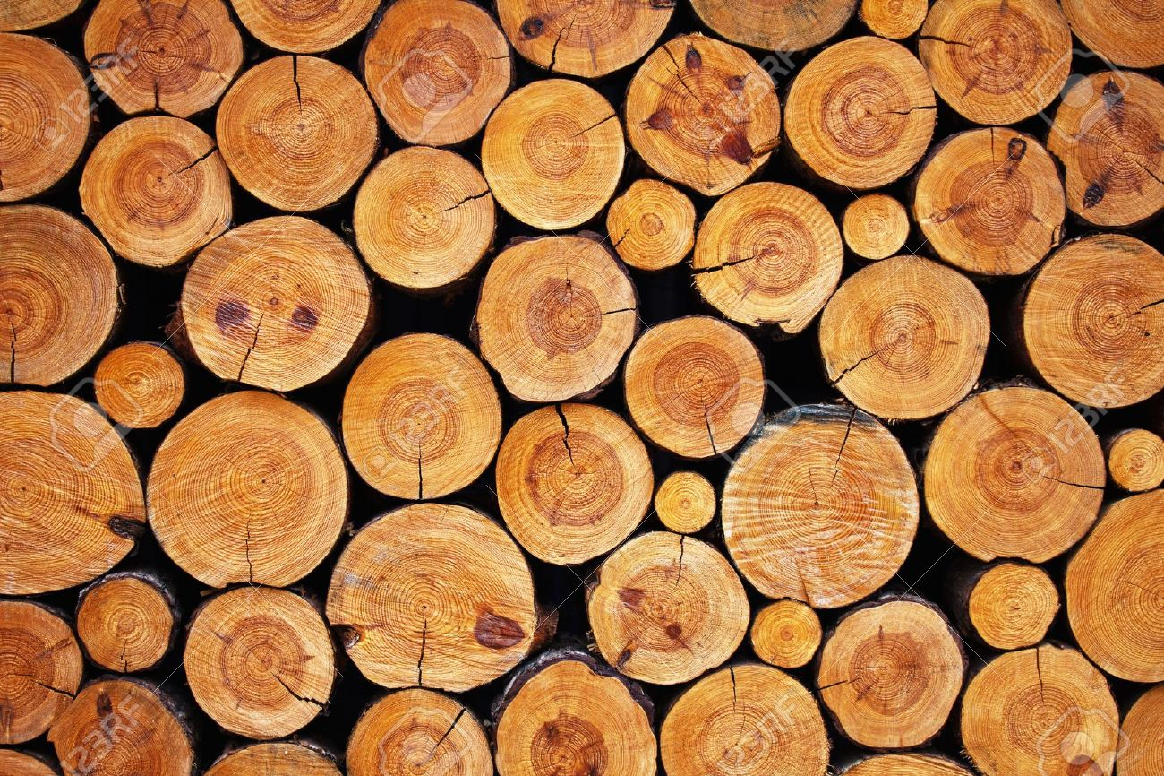 Wood Log Counting Object Detection Model by NanoMatrix