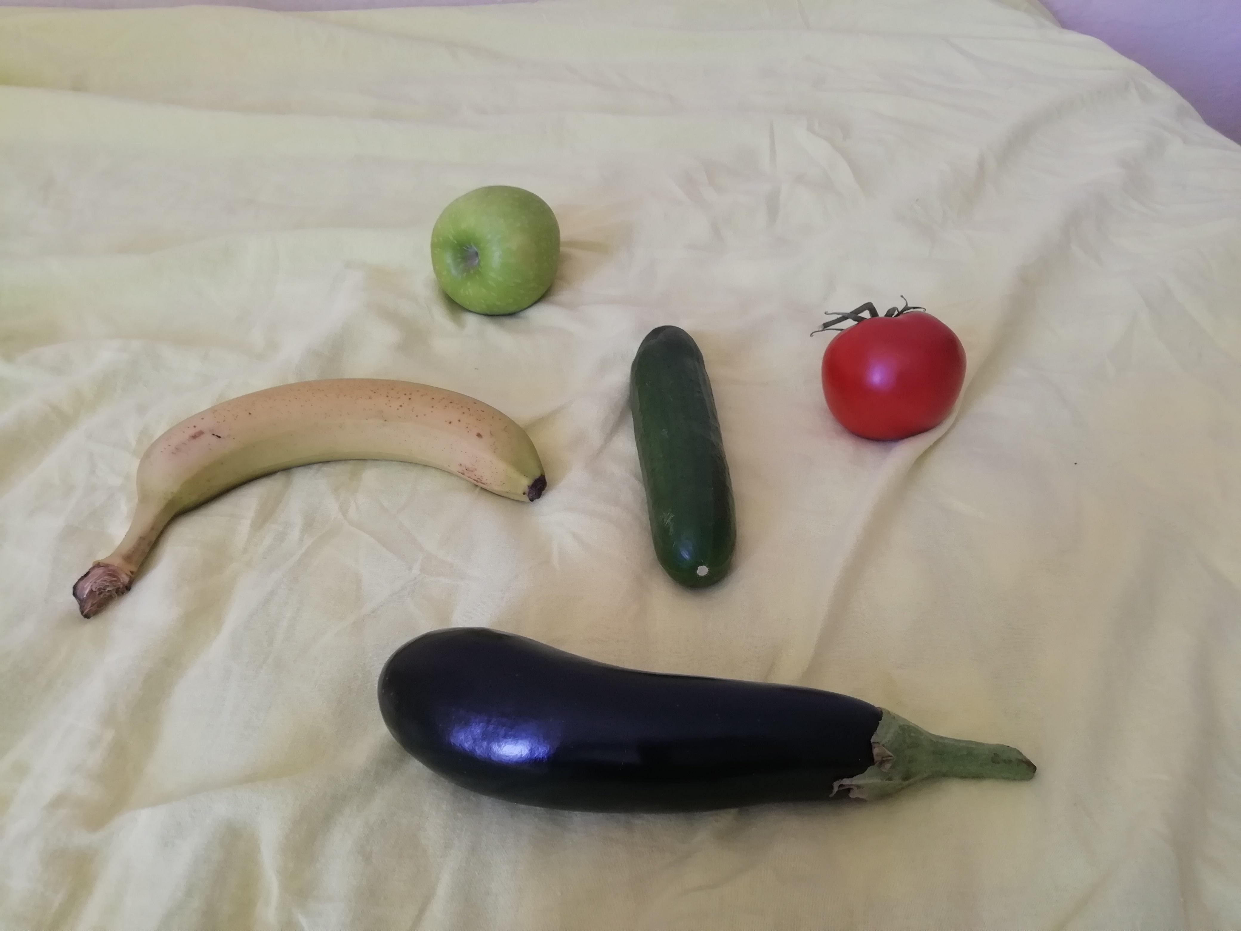 smartglassv3 Object Detection Model by Smartglass