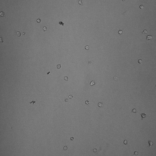 stem_cell_v4_512 Object Detection Dataset by Bionano