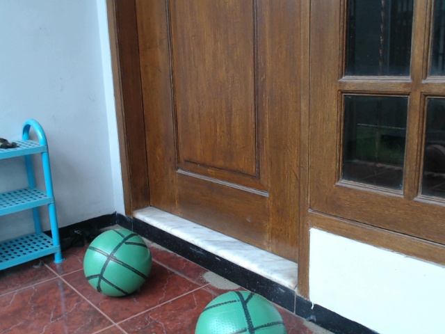 Ball Tracker Object Detection Dataset And Pre Trained Model By Kritikal