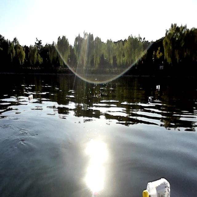 waste-separator Object Detection Dataset by objectdetectionwithyolo8