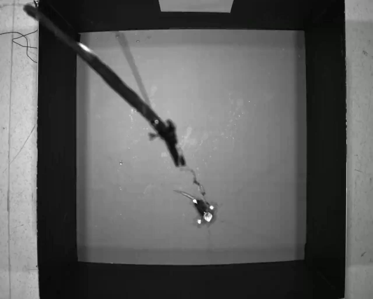 Tracking Balls 300pics Object Detection Model By Peking University