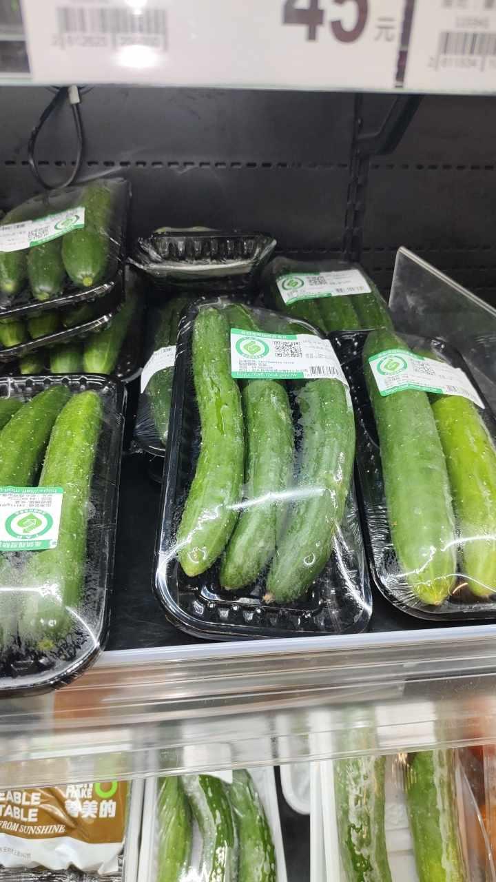 Cucumber Object Detection Dataset By U1021030