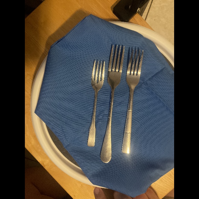 Similar Fork Object Detection Dataset by Forks