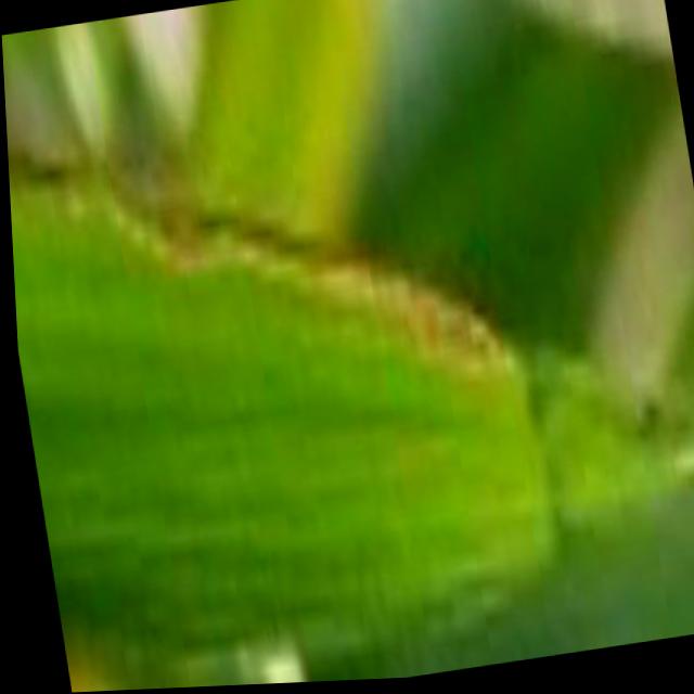 Rice Leaf Disease Object Detection Dataset by pest