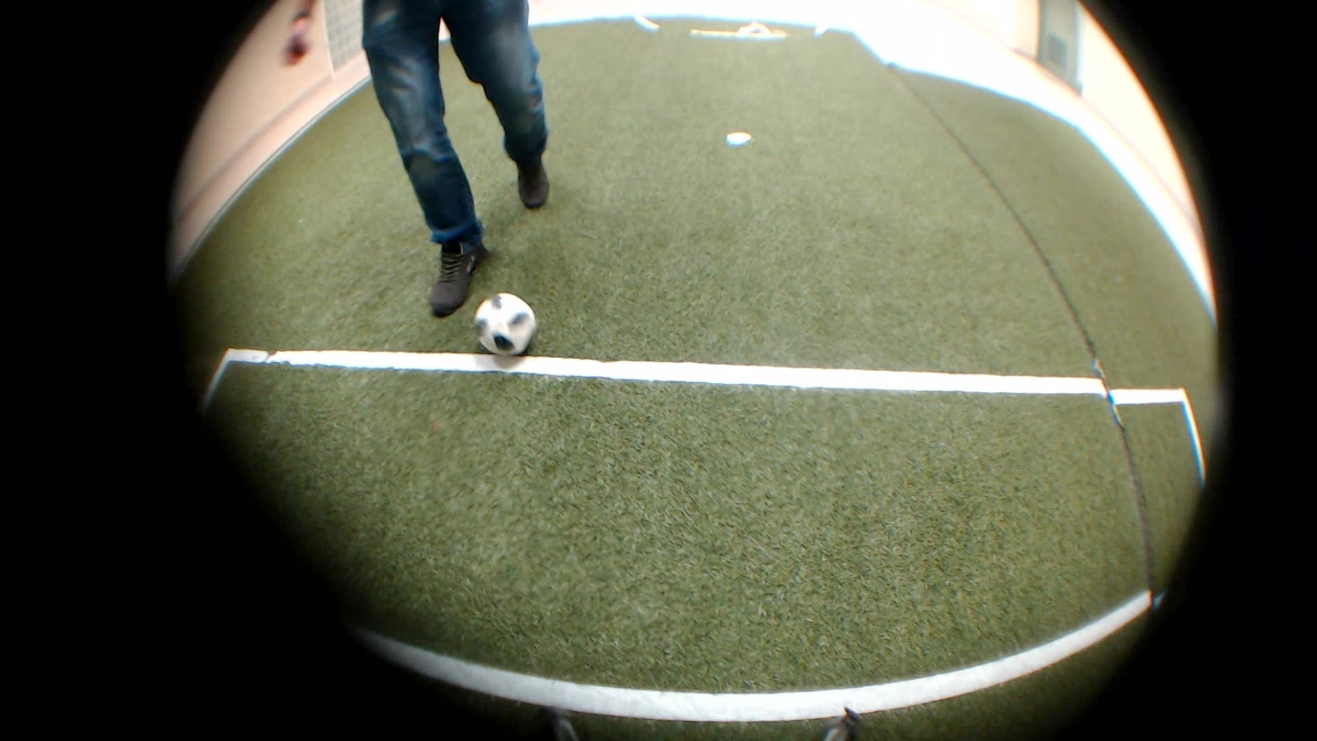 ball test Object Detection Dataset by HuMAN