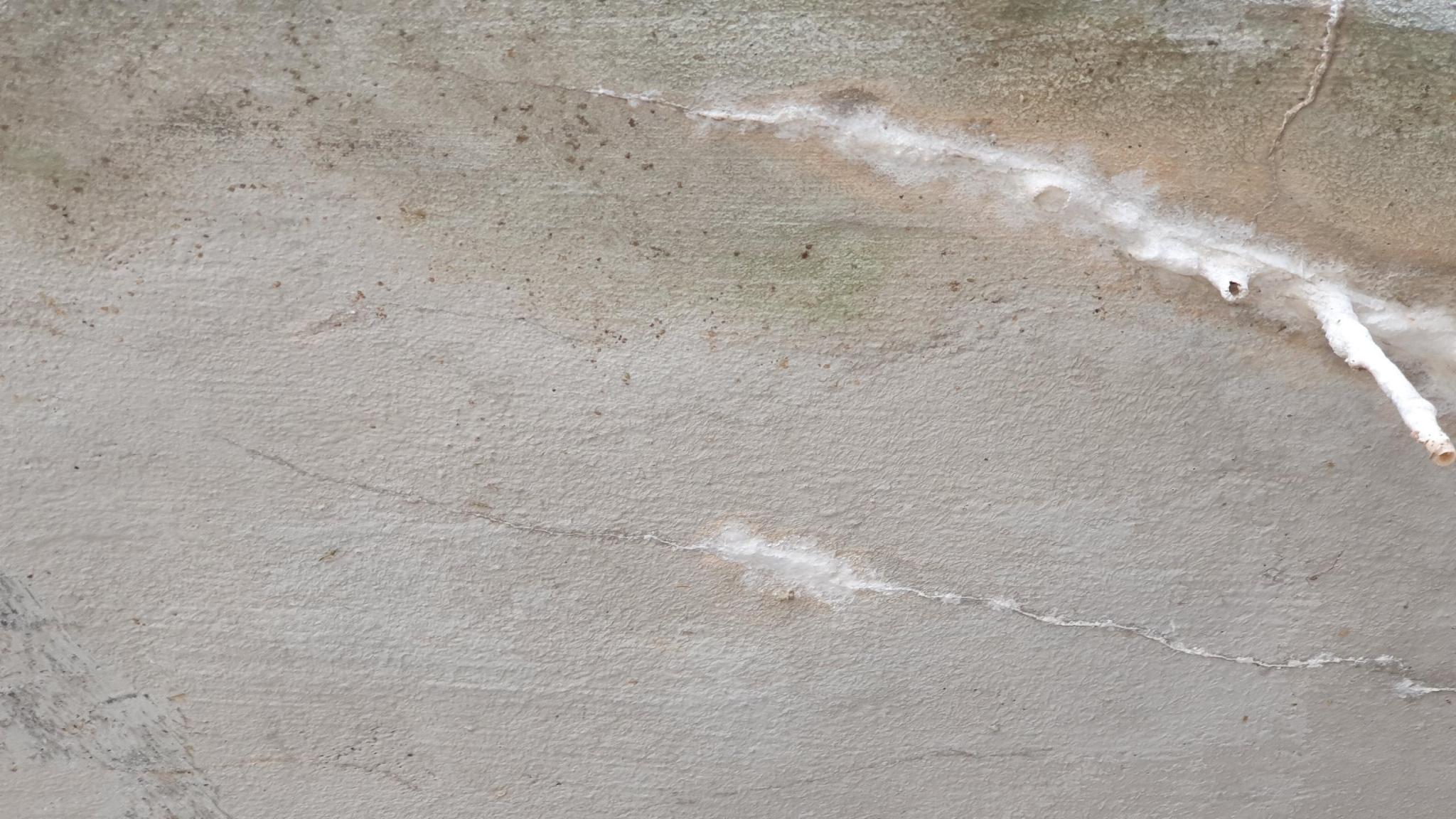 Eflo Instance Segmentation Dataset by Investigacin