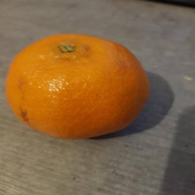 fruit Object Detection Dataset by TrainProject