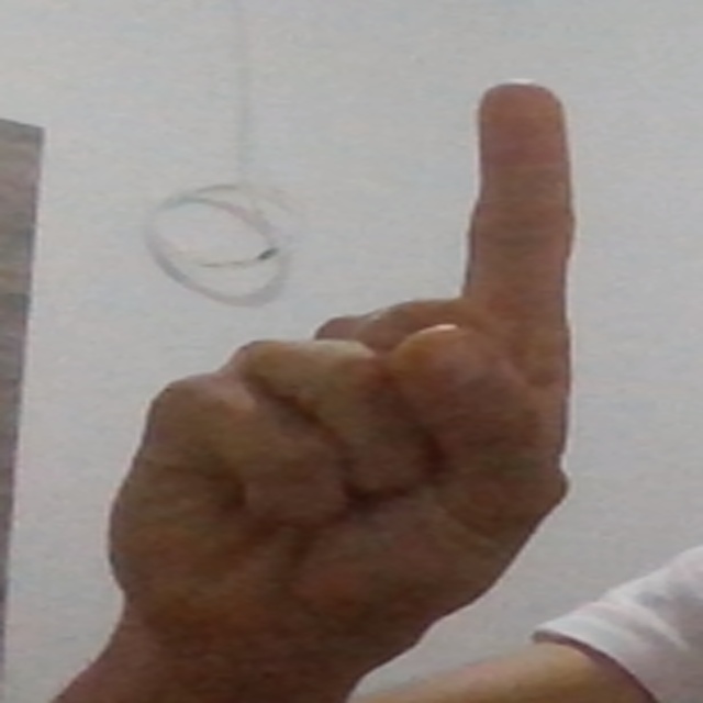 LSC Instance Segmentation Model by University