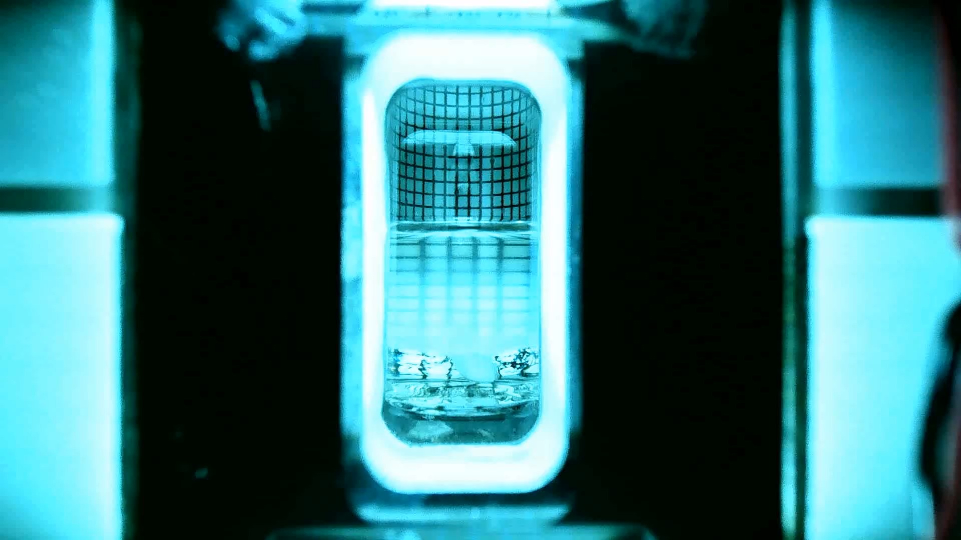 Extraction Unit Test 2 Object Detection Dataset V1 2024 12 19 10 15pm