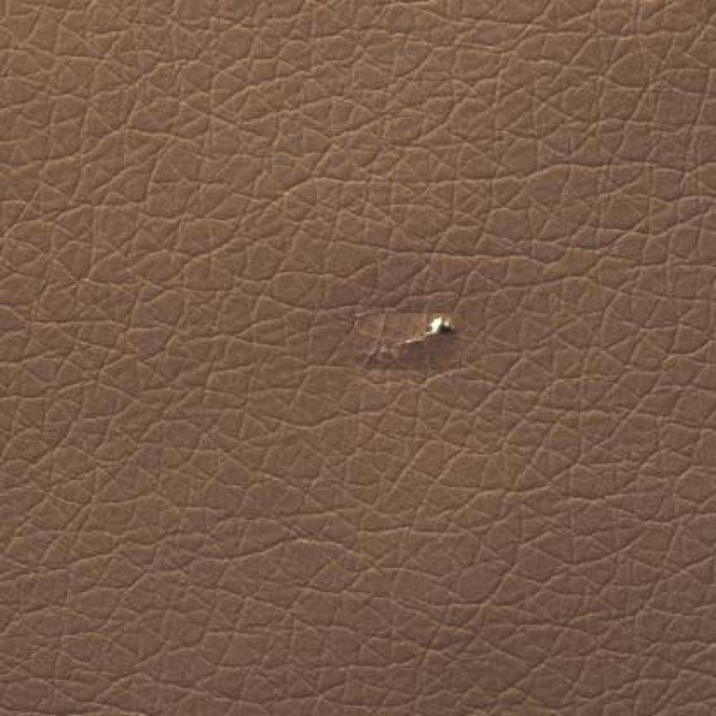 Leather Object Detection Dataset by NewProject