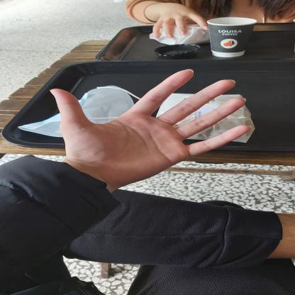 Hands Object Detection Model by ensam