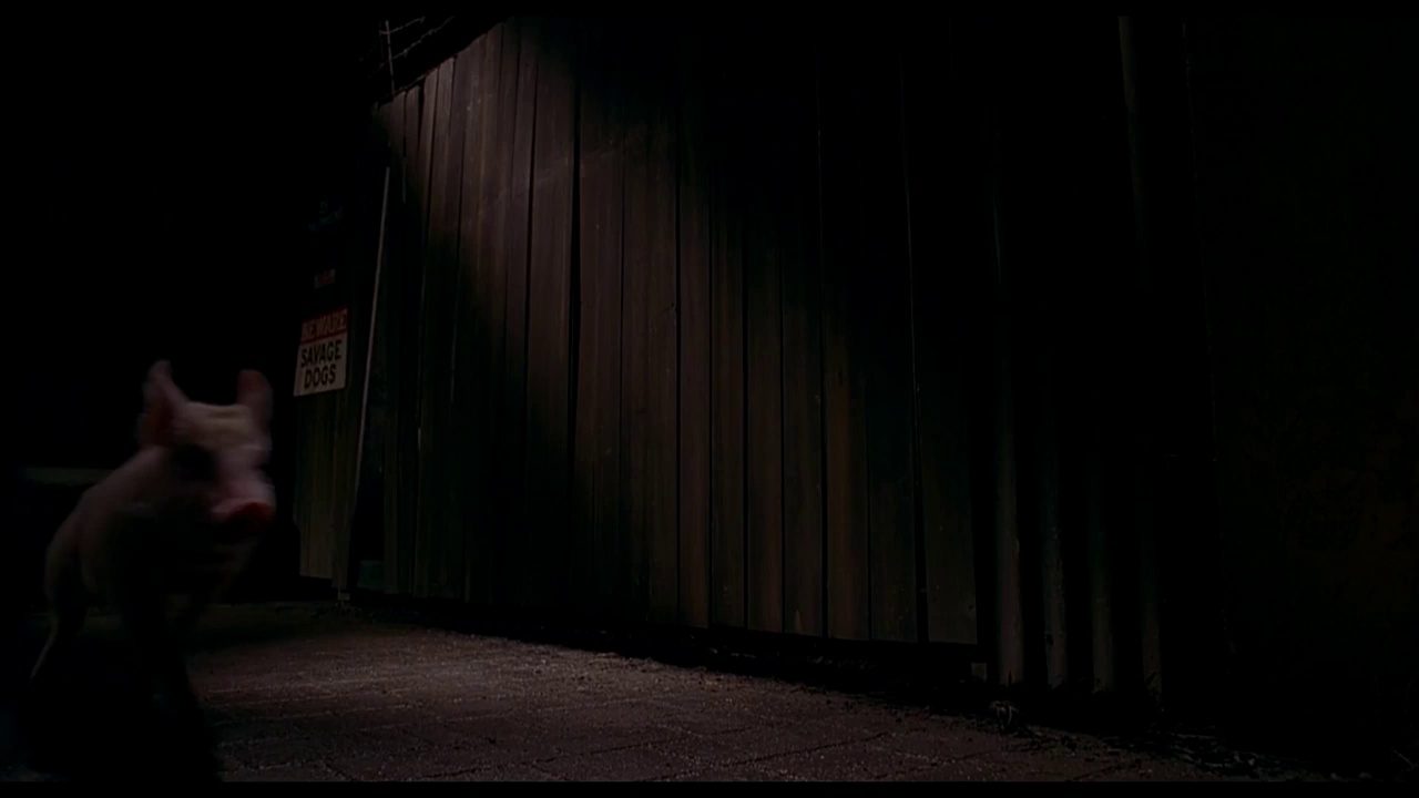 dog_segmentation Instance Segmentation Dataset and Pre-Trained Model by Dog