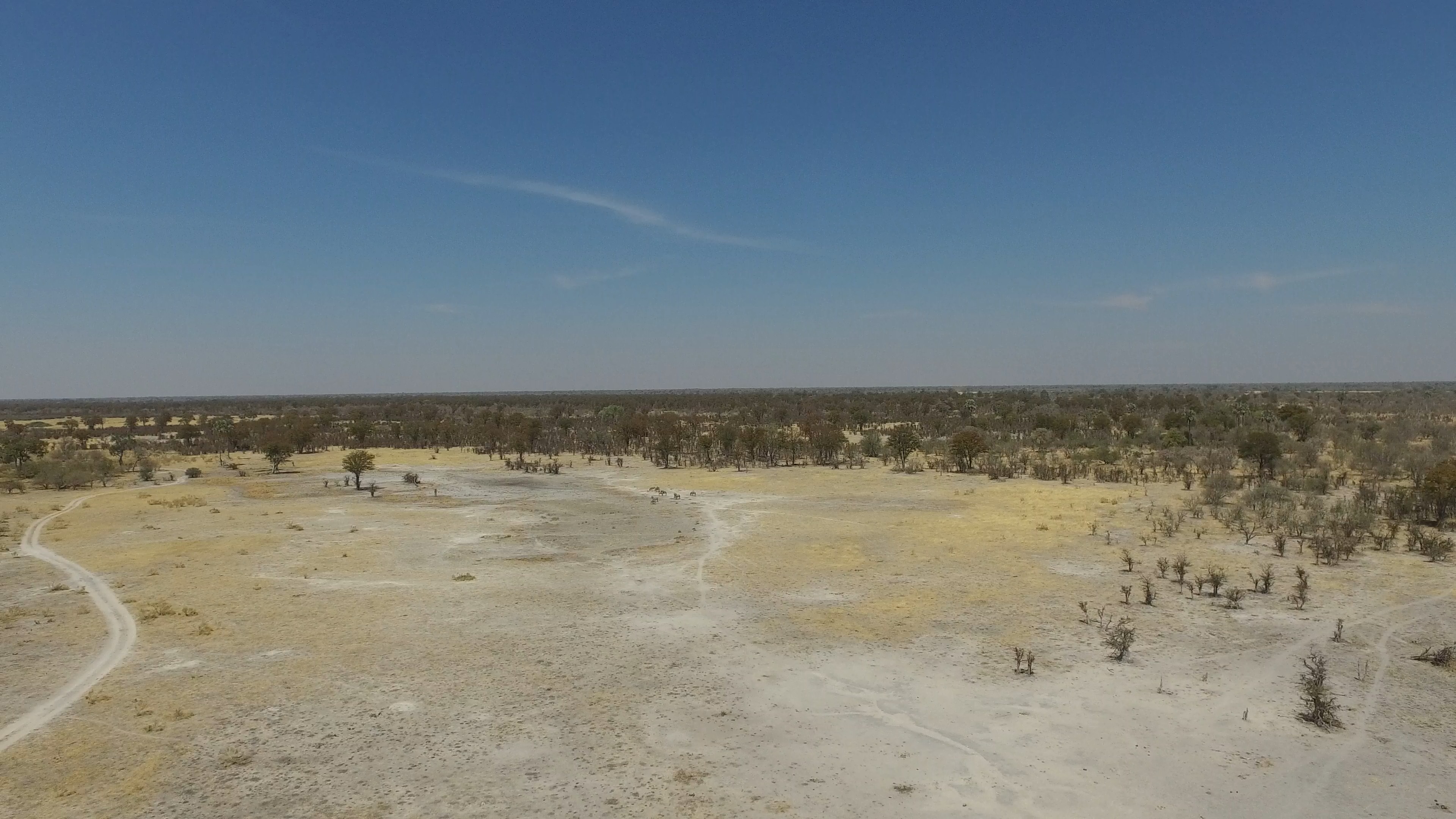 zebra detect 2 Object Detection Dataset and Pre-Trained Model by animal ...