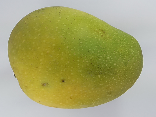 How to Use the Mango Fruit Drop Classification API