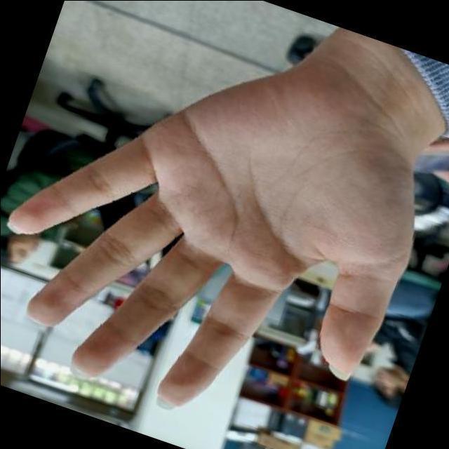 Hand-Detection Object Detection Dataset by Falcon AI