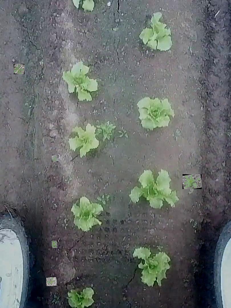 copy_paste Classification Dataset by crop