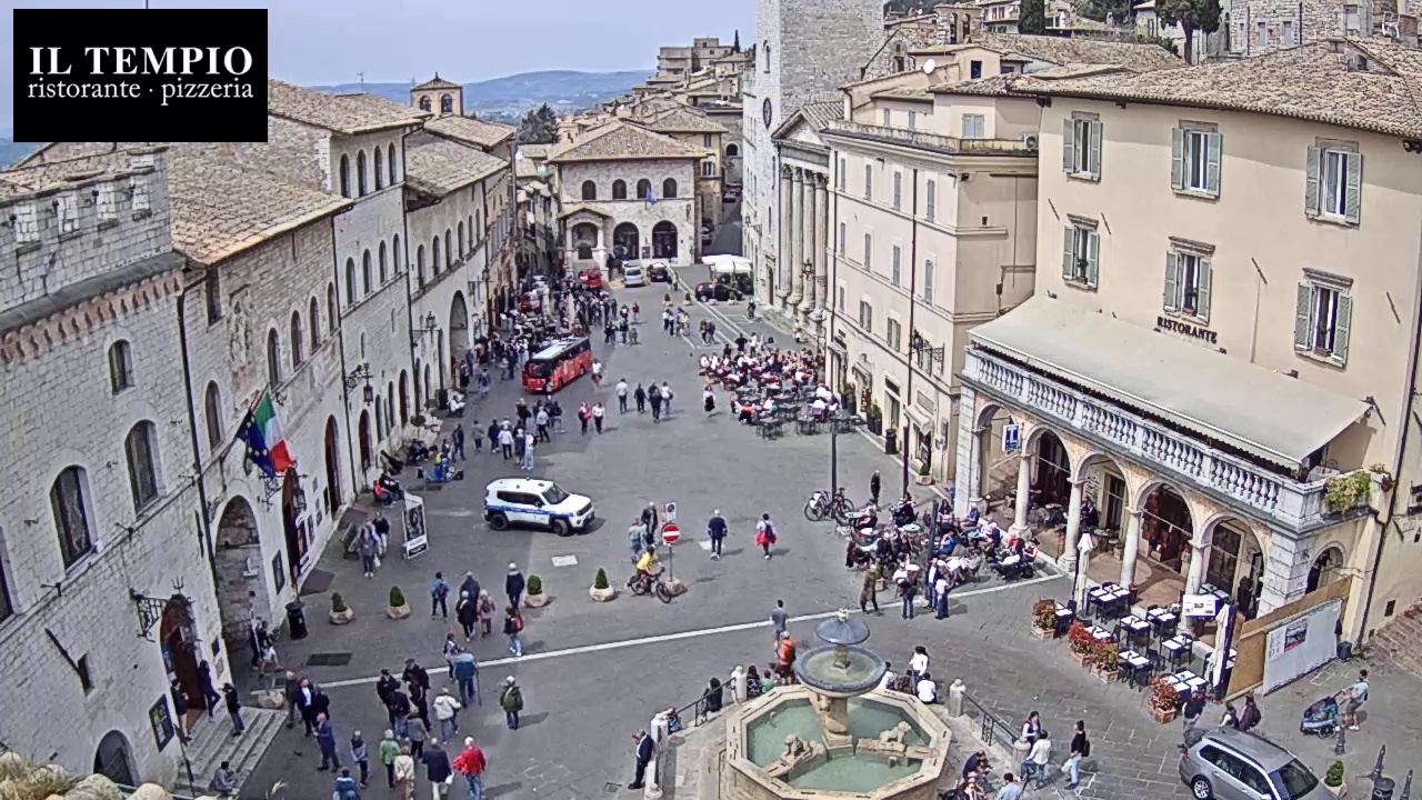 Assisi_dataset_shade 2 Instance Segmentation Dataset and Pre-Trained Model by chasingseasonalshade