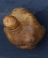 example (example-mhnfu) - Roboflow Universe