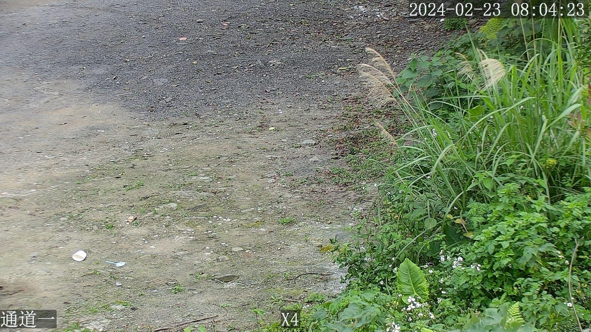 垃圾辨識14種0412 Object Detection Dataset by trash