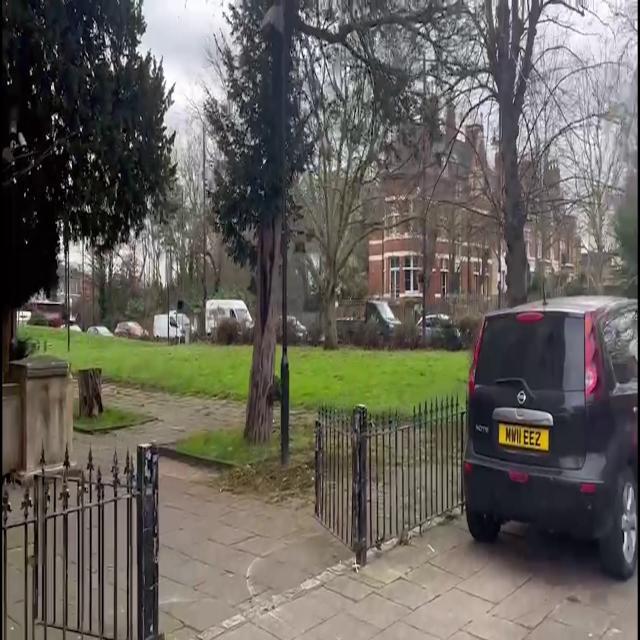 Tree Detection Object Detection Dataset By Vidar 6650